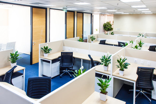 Cubicles vs Bench Desks: Choosing the Right Workstations – New Life Office